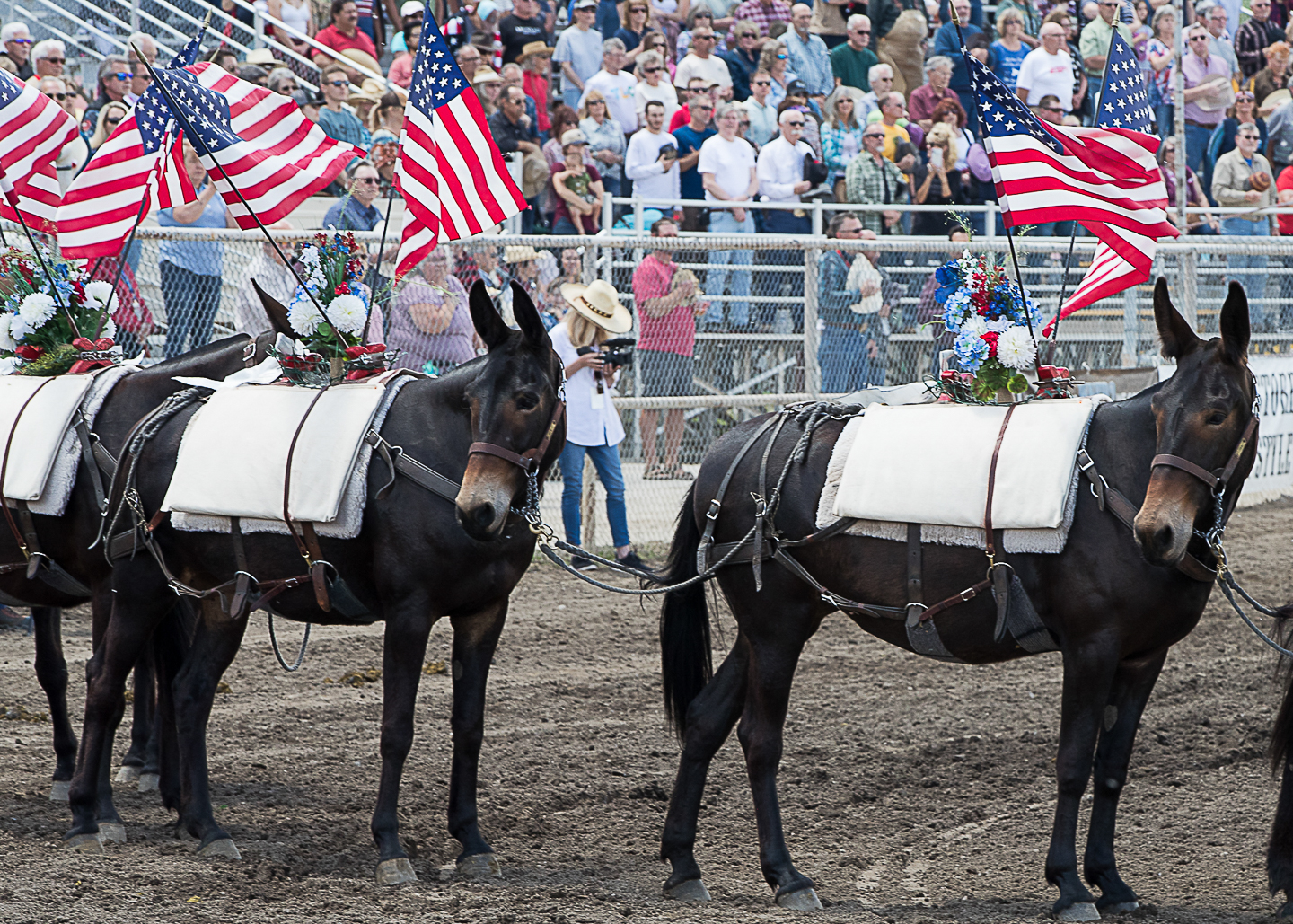Operation Family Fund Joins Bishop Mule Days